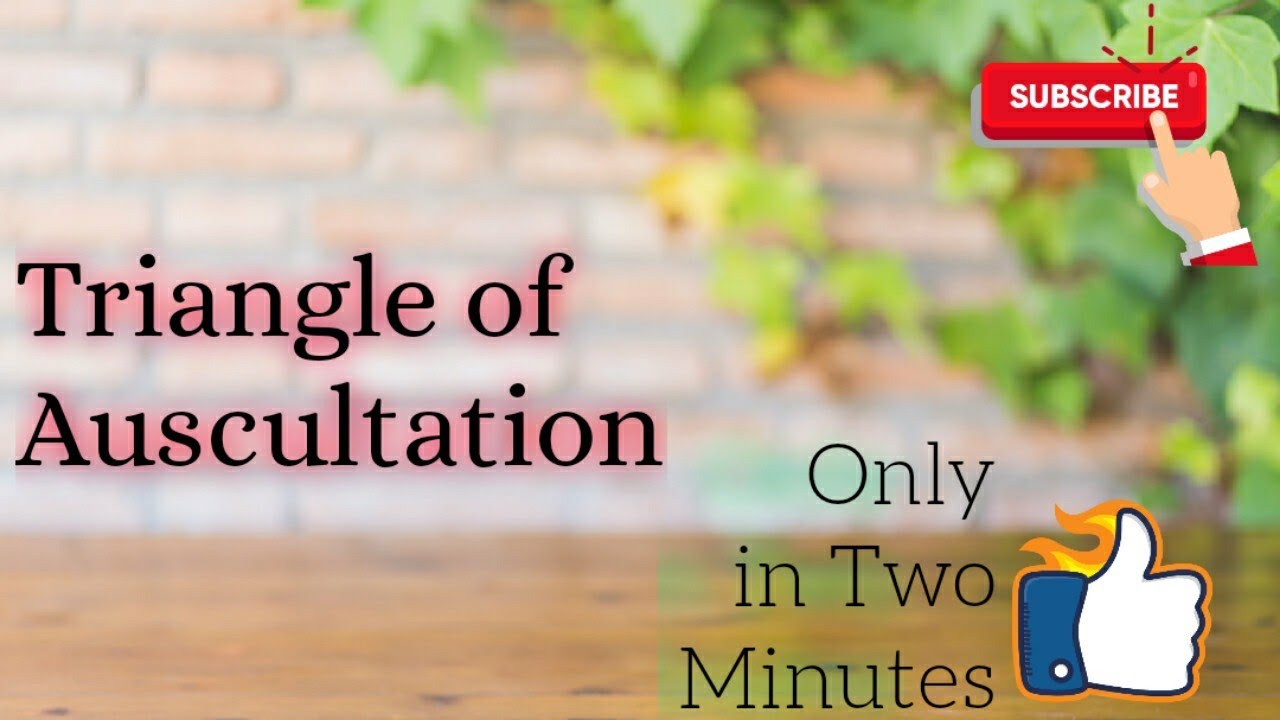 Triangle of auscultation :: - YouTube