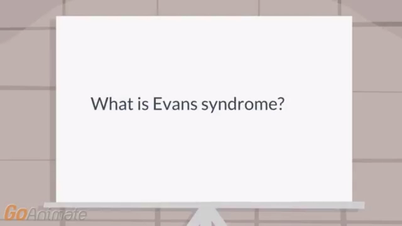What is Evans syndrome? - YouTube