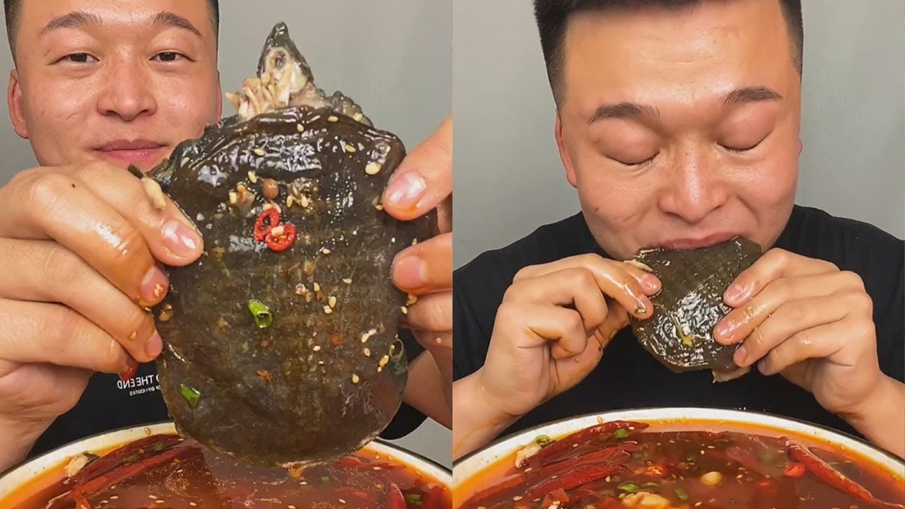 Spicy soft-shelled turtle, very delicious - YouTube