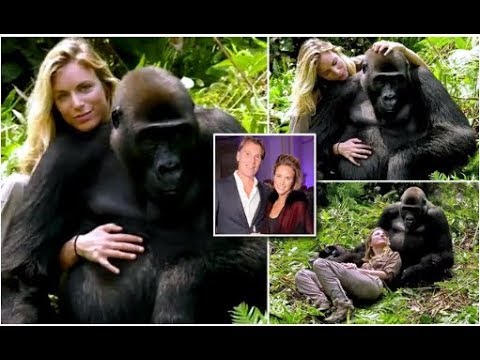 The incredible moment Victoria Aspinall meeting her husband's gorilla ...
