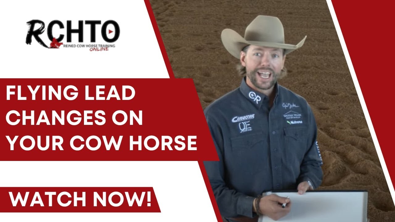 Flying Lead Changes On Your Cow Horse - YouTube