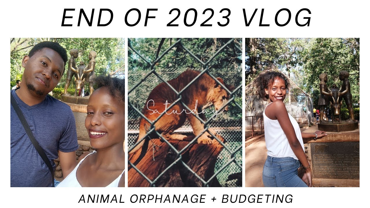 Bye Bye 2023♡: Animal Orphanage budgeting tips! #kenyatourism ...