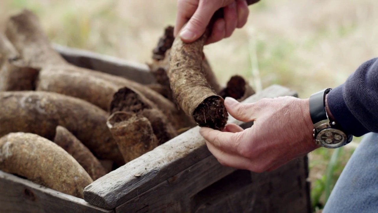 Creating Compost for Wine | NAPA VALLEY DREAMS Documentary Clip - YouTube