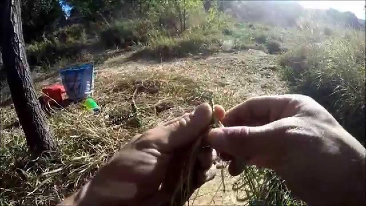 Two Ply Reverse Wrap Cordage and Splicing with Yucca Fibers - YouTube