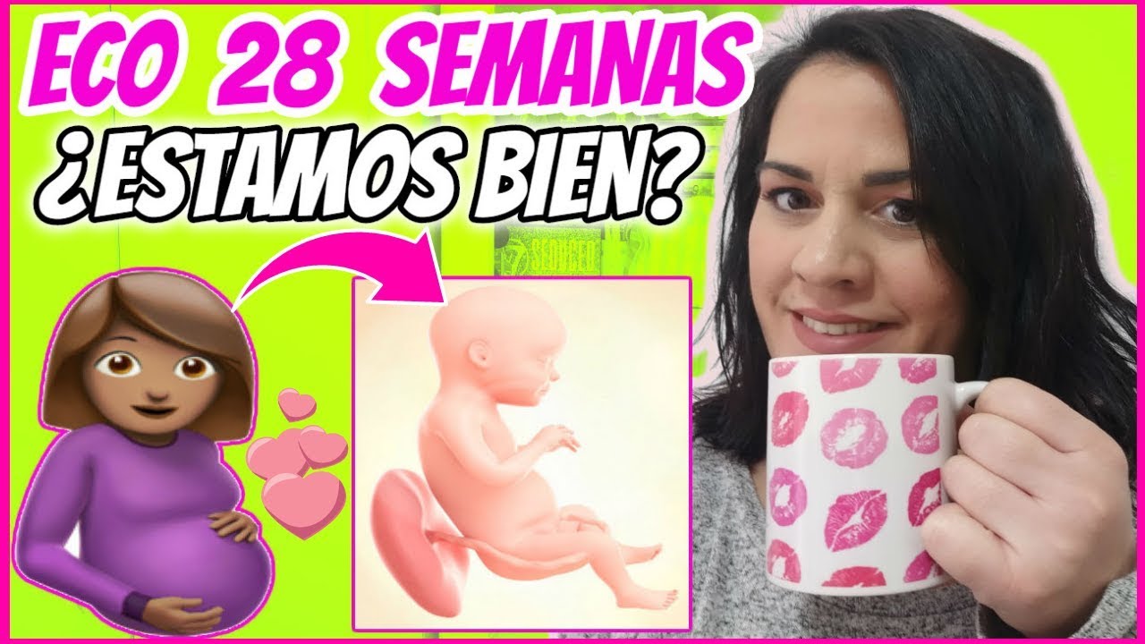 😍ECO 28 SEMANAS DE EMBARAZO🤰¿ESTAMOS BIEN?ACTUALIZACIÓN DEL EMBARAZO ...