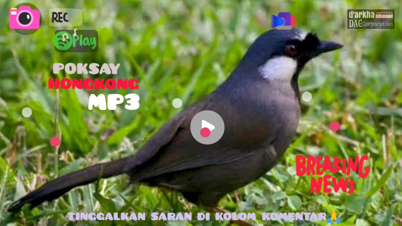 POKSAY HONGKONG - YouTube