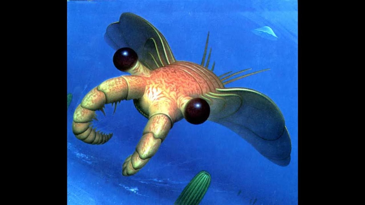 Tribute to the Cambrian Explosion - YouTube