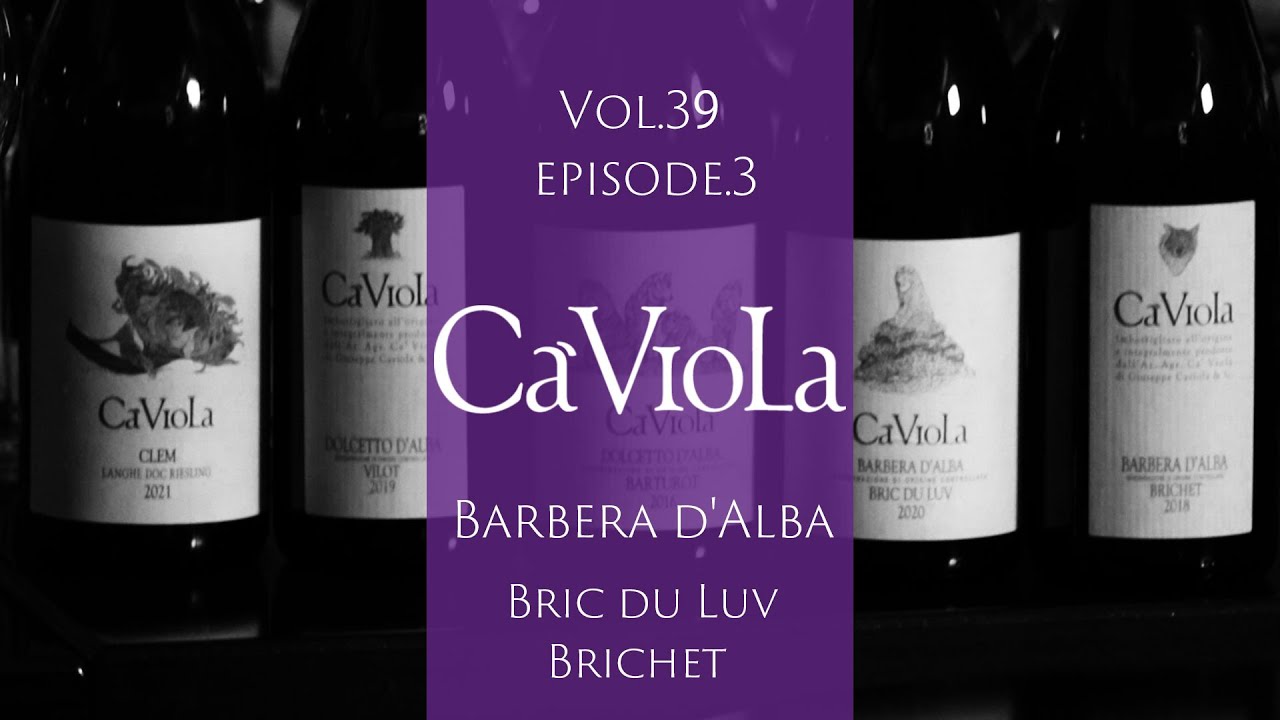 Vol.39ep.3『Caviola（カヴィオラ）/ イタリアワイン飲み比べ』 - YouTube