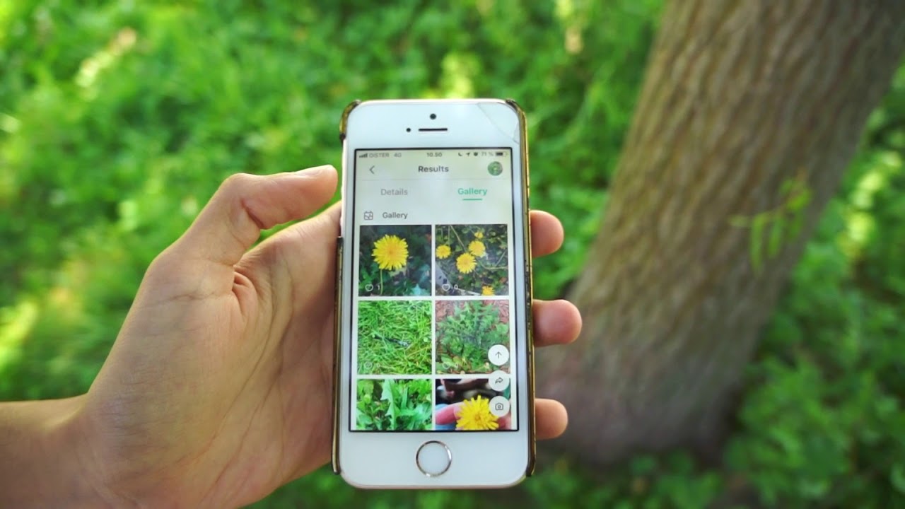 Picture This app afprøvning - YouTube