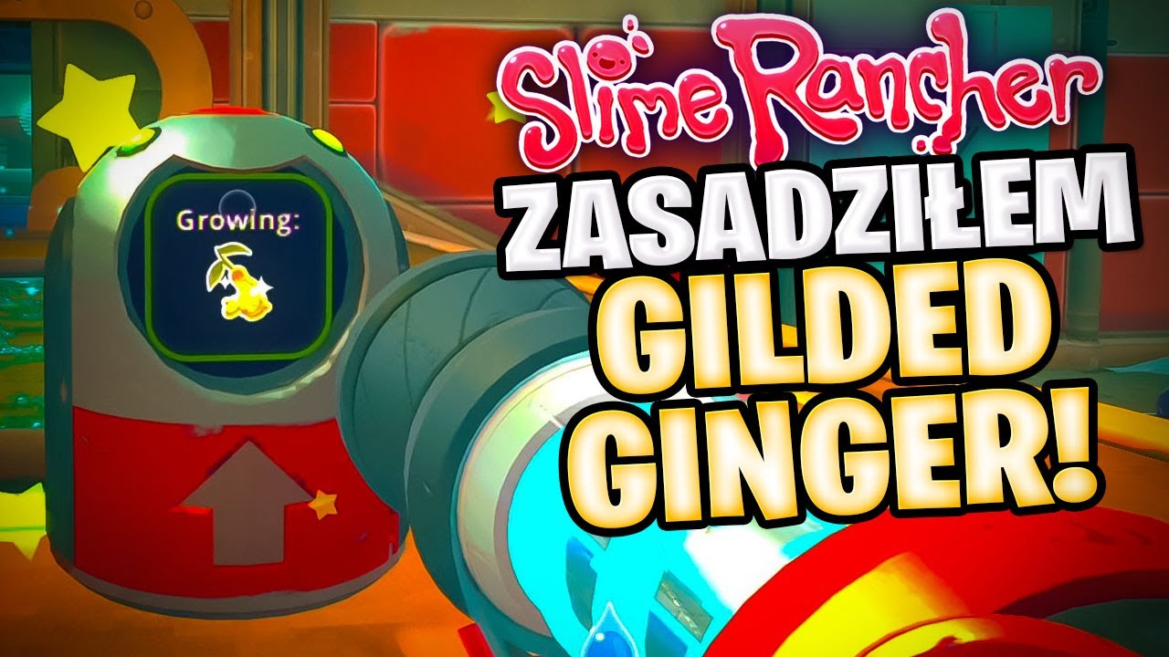 Zasadziłem GILDED GINGER!!! | SLIME RANCHER #45 - YouTube