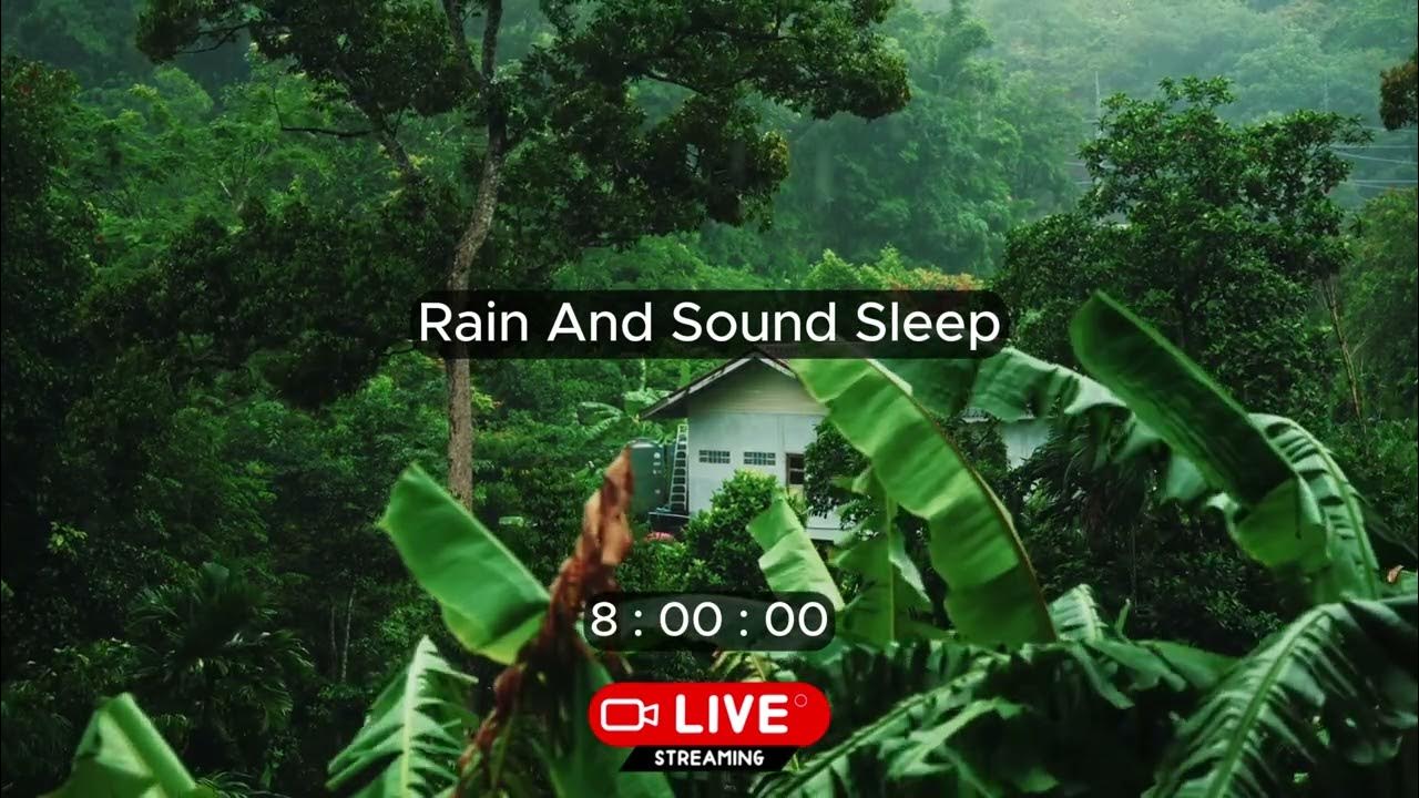 Fall Asleep Fast on Stormy Night | Terrible Rainstorm, Strong Thunder & Heavy Rain at Night ...