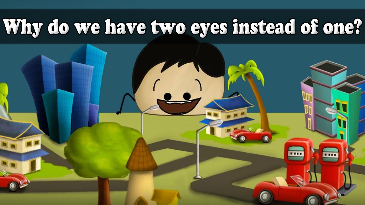 Why do we have two eyes instead of one? | #aumsum #kids #science # ...