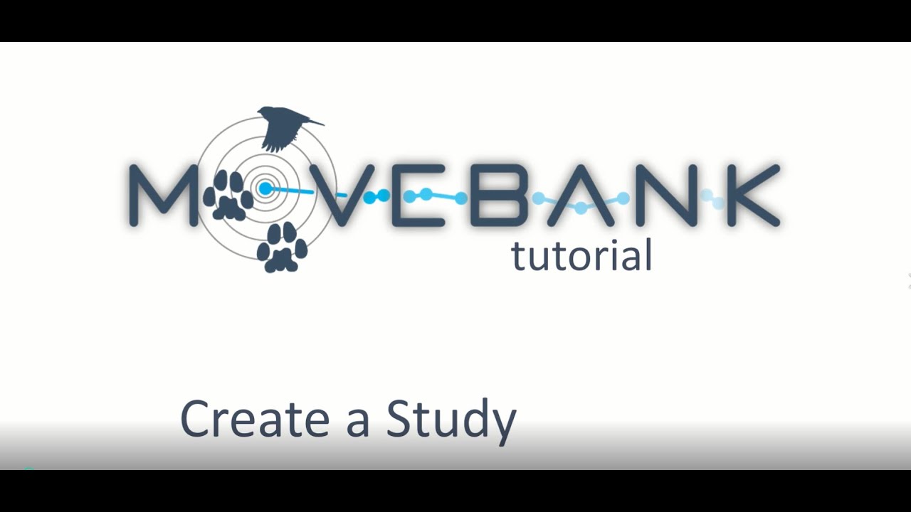 Tutorial: Create a Study - YouTube