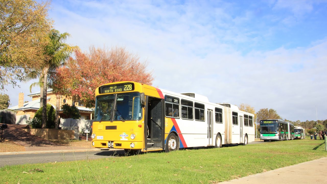 [Preserved] ex-STA Adelaide #1549 (549) - Mercedes-Benz O305G (PMCA ...