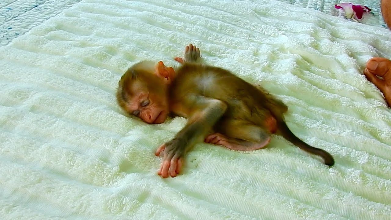 Look JULIE Very Tired And Sleepy After Bath So Long. - YouTube