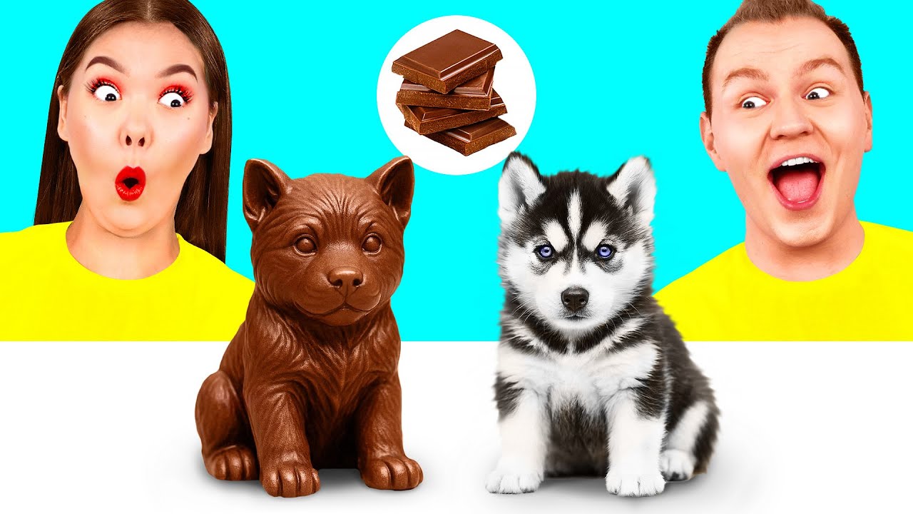 Real Food vs Chocolate Food Challenge | Funny Situations and Fails ...