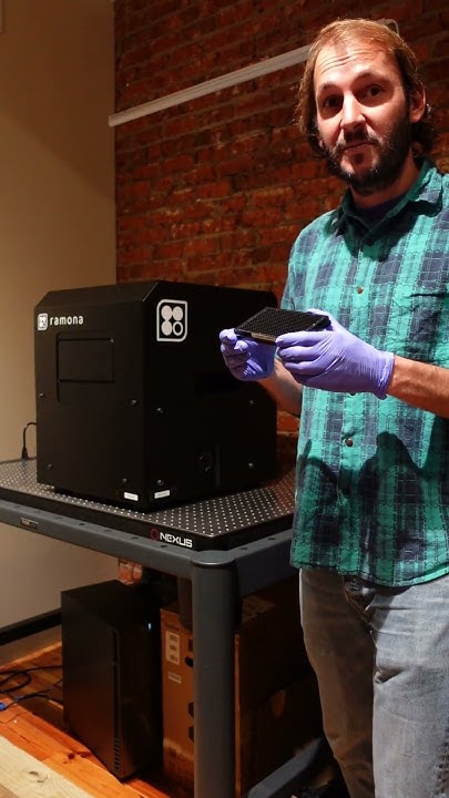 Rapid screening of cerebral organoids with a multi-camera array ...