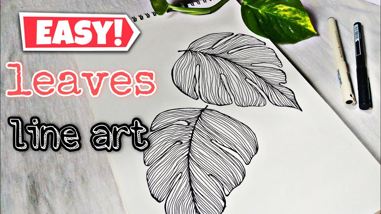 Easy leaves line art for beginners || illustration || step by step ...