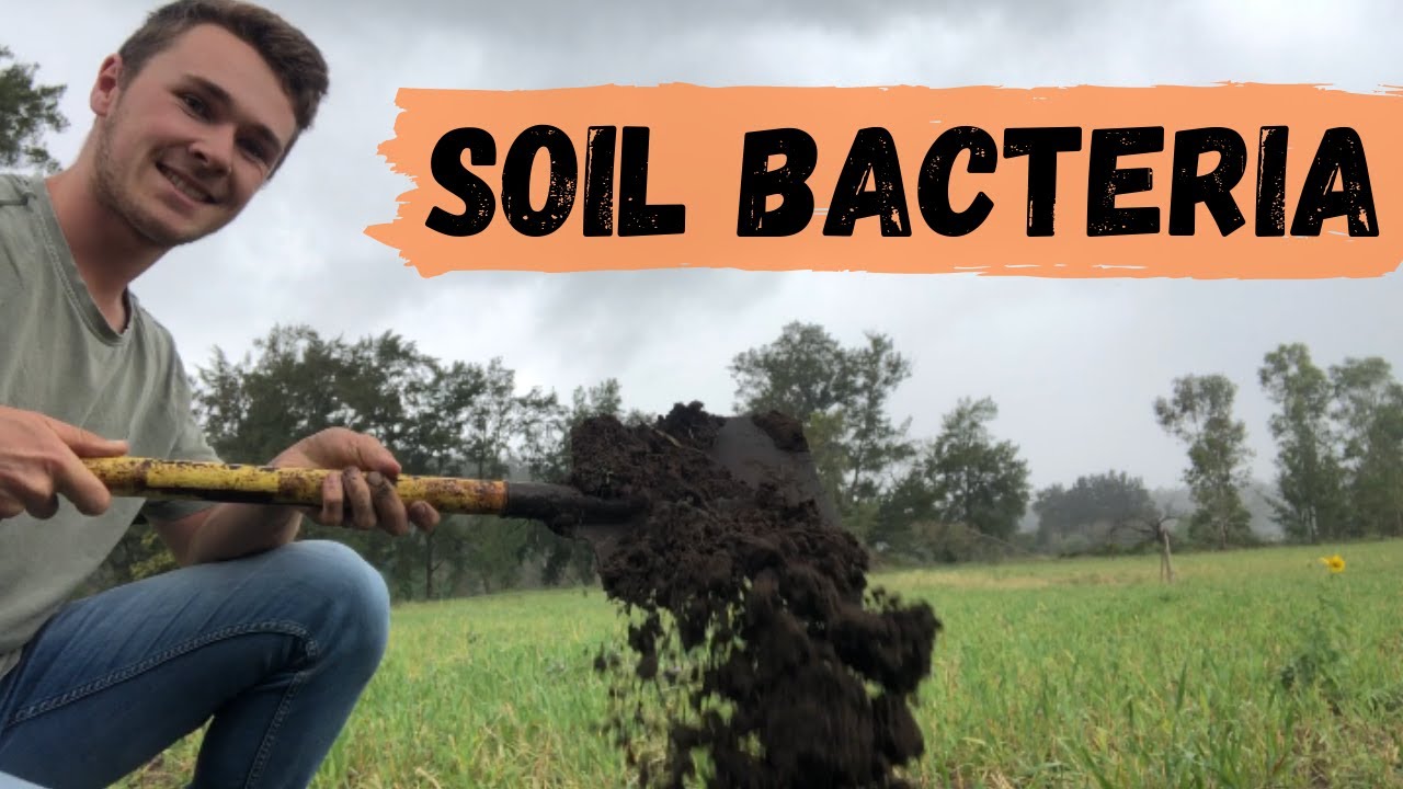 Soil Bacteria - Making Healthy Soil - YouTube