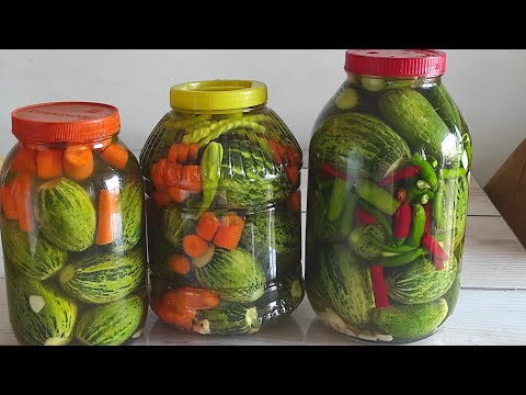 Bol acılı Kelek turşusu 🤌tam ölçüde muhteşem bir lezzet 💯 kışın vazgeçilmezi 👌 sofraların gözdesi