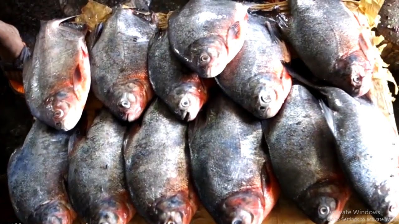 Cooking Paplet Fish Fry Recipe | Village Cooking Food - YouTube