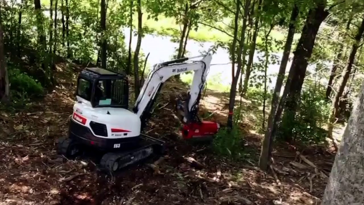North Carolina Forestry Mulching | Land Clearing & Forestry Mulching in ...