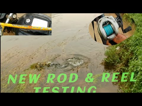New rod & reel testing| Snakehead fishing video 🦈🦈 | VILLAGE FISHING 🎣 ...