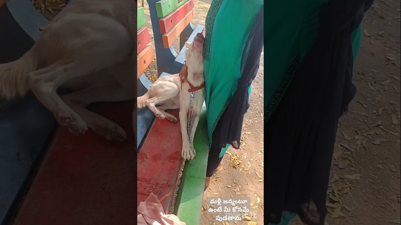 మళ్లీ ఇంకో జన్మంటూ ఉంటే నీకోసమే పుడతాను🥺 - YouTube