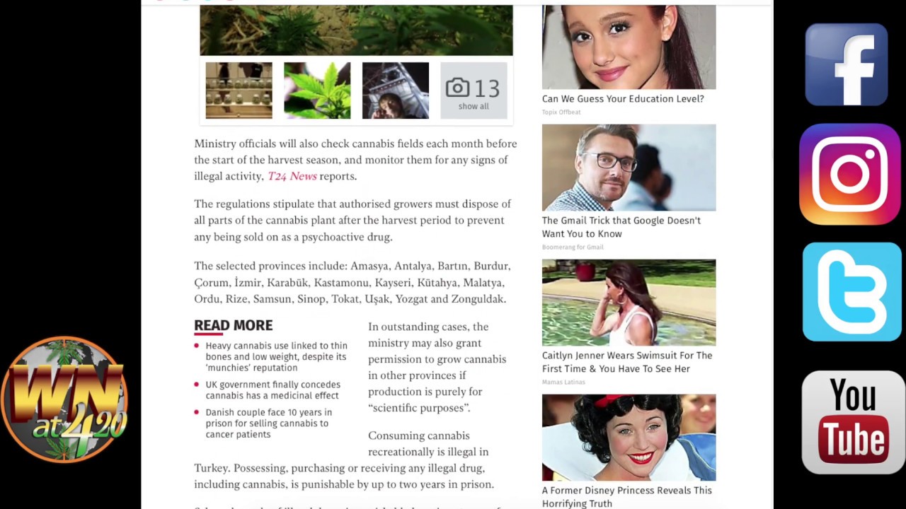 Marijuana Legalization (turkey) - YouTube