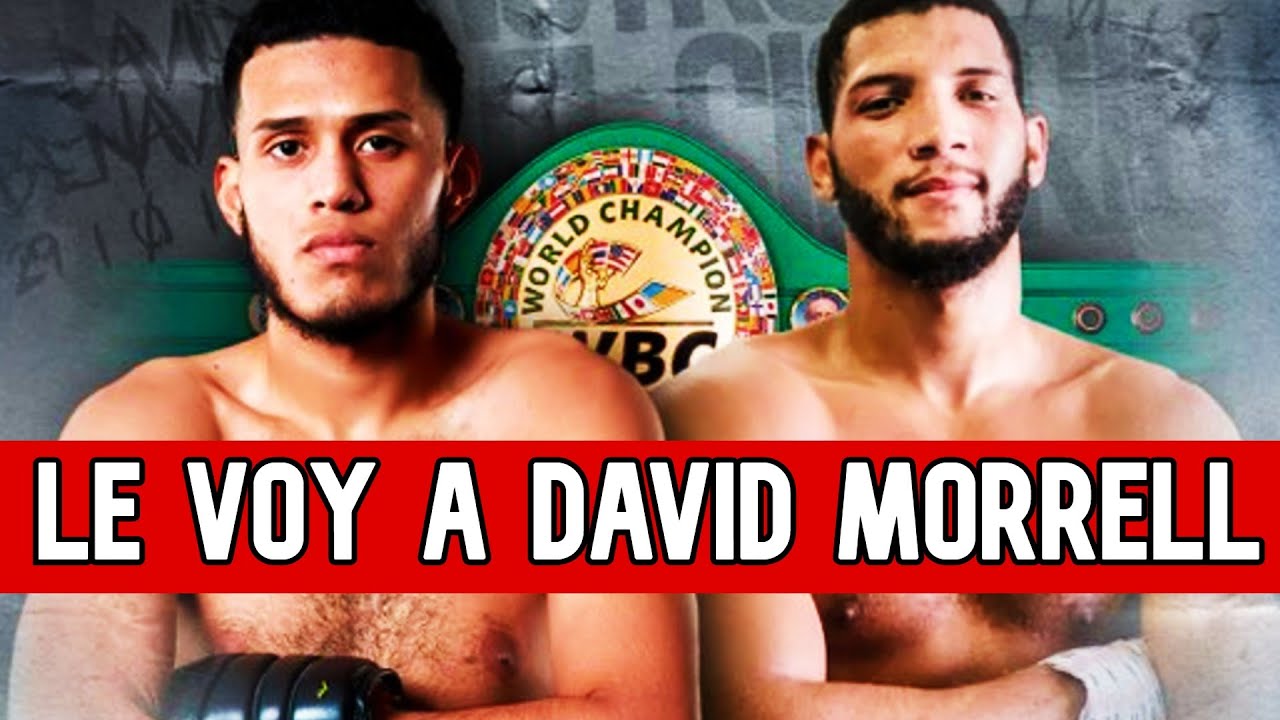 David Morrell va a hacer pedazos a BENAVIDEZ y ganará por DECISIÓN 😁 ...