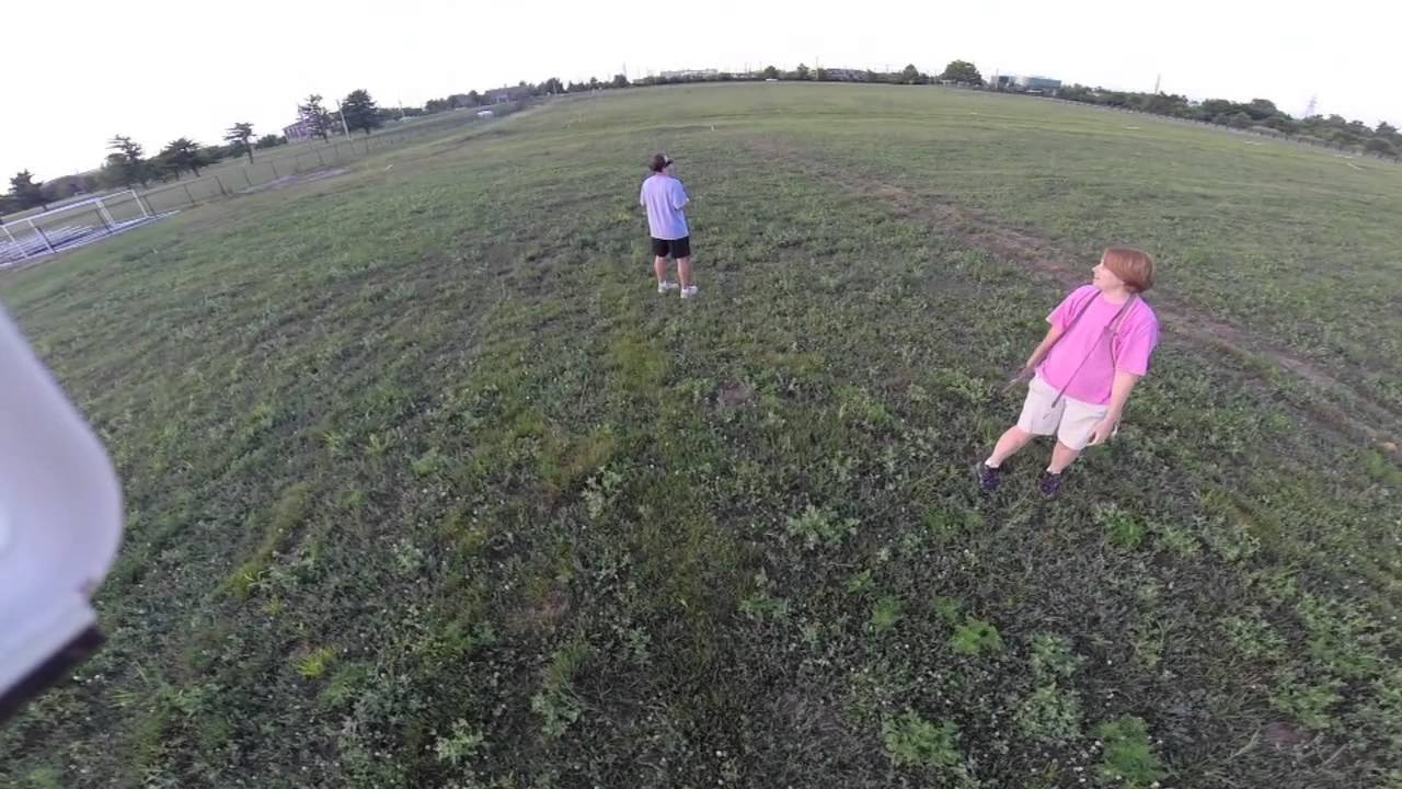 Corgis take down drone - YouTube