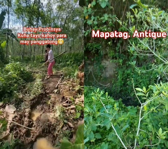 Green na Green sa Lugar namen #Short - YouTube