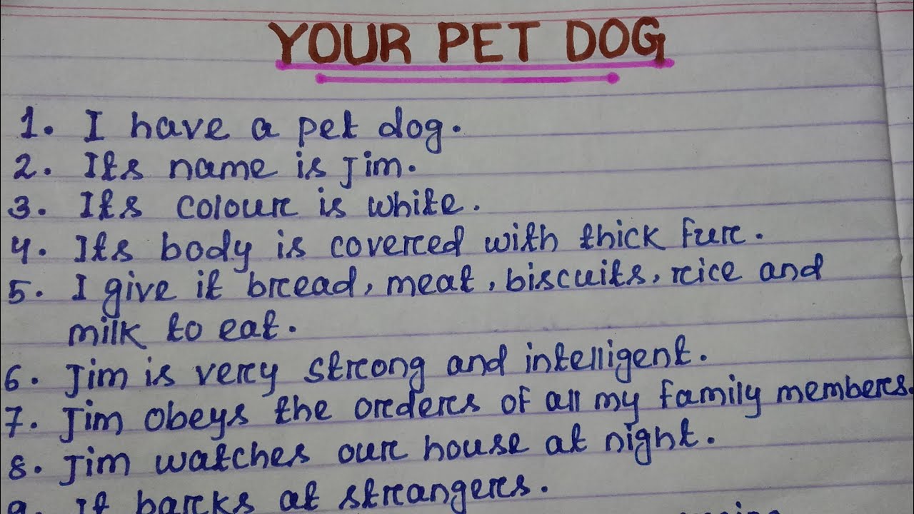Your Pet Dog //10-12 lines essay on "Your Pet Dog "//English essay on ...