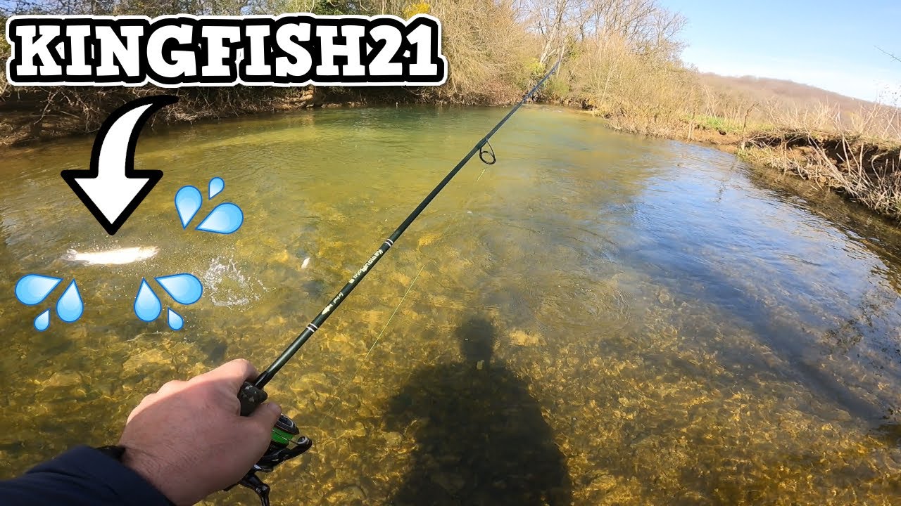 Truites volantes en HAUTE-MARNE au FLATJAP 50 par KINGFISH21 - YouTube