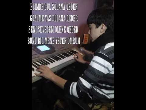 Ibrahim Qasimzade_SeViReM