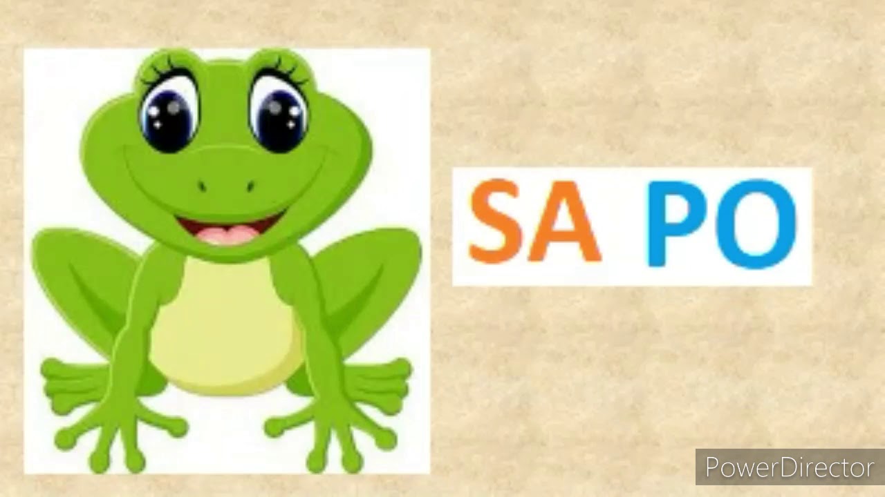 APRENDEMOS CON LA LETRA S - YouTube