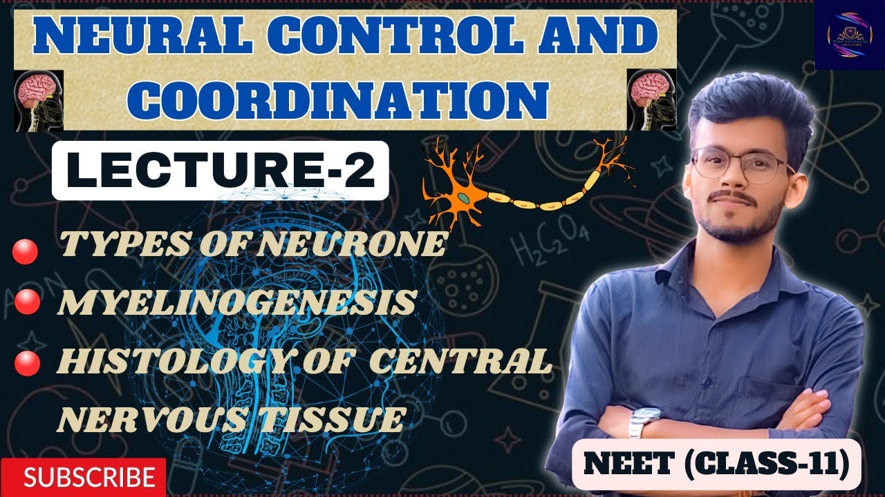 NEURAL CONTROL AND COORDINATION | Lec. -2 | Types of Neuron | Myelinogenesis | CNS | #neet # ...