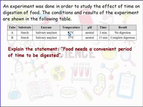 How to....EXPLAIN - YouTube