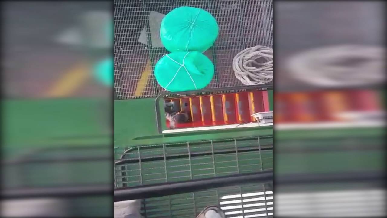 Bird poop prank on a tugboat - YouTube