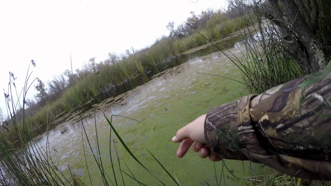 January Bass Fishing Shadow Cliffs & Quarry Lakes California - YouTube
