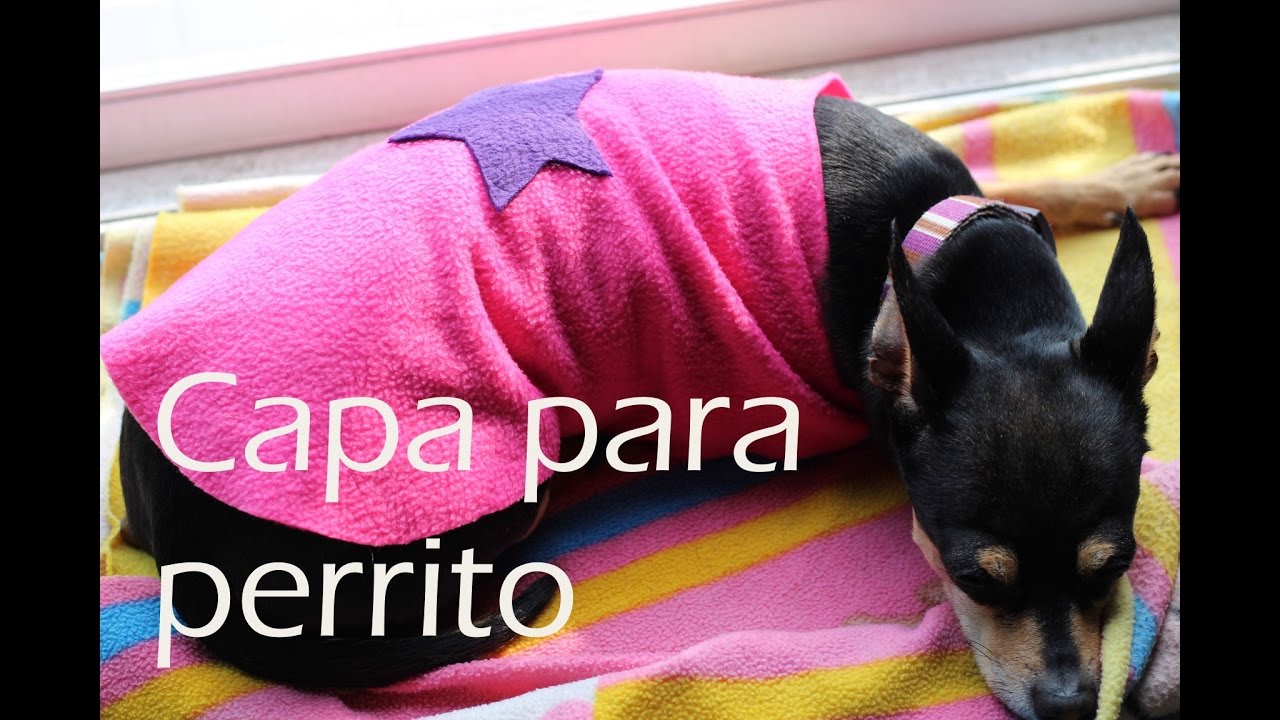 DIY: Cómo hacer una capa para perro sin coser - YouTube