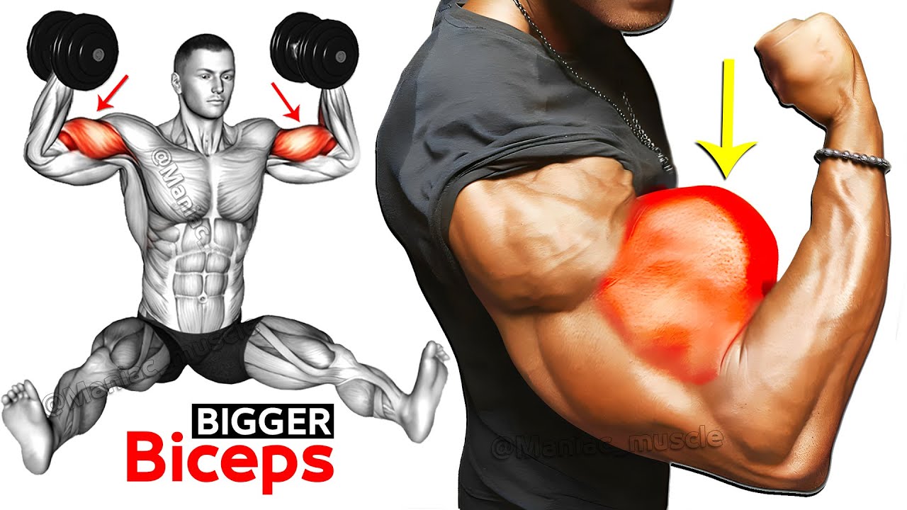 How To Build Your Biceps Fast 17 Effective Exercises Youtube