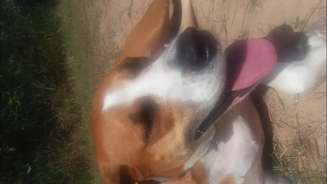 Dallas: The Movie (Scene 1) - YouTube