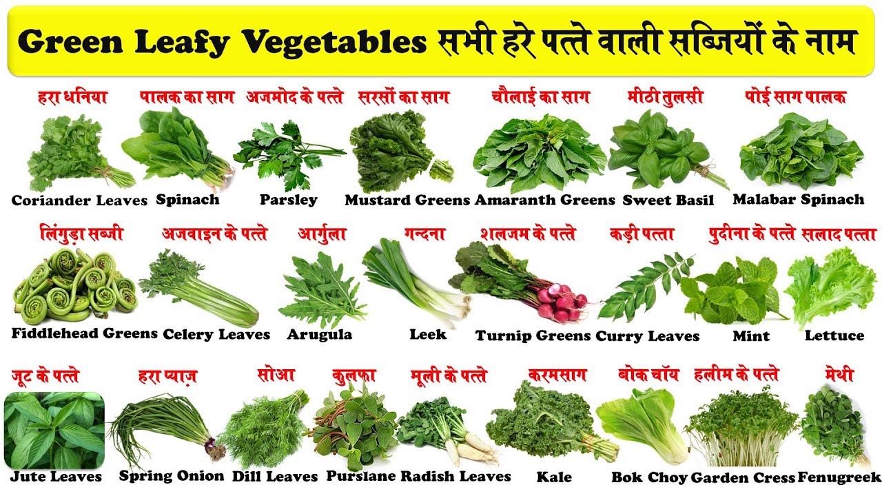 Green Vegetables Name In Hindi With Pictures Infoupdate