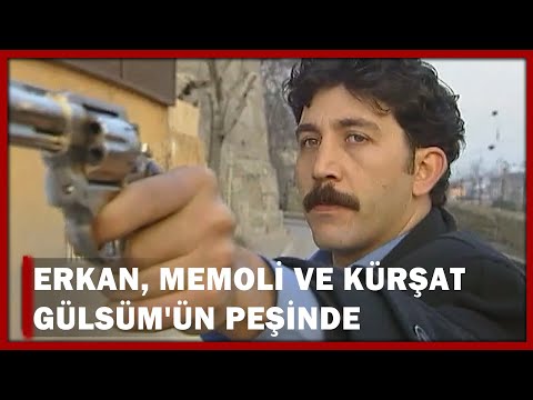 Erkan, Memoli Ve Kürşat Gülsüm'ün Peşinde! - Yılan Hikayesi 78.Bölüm