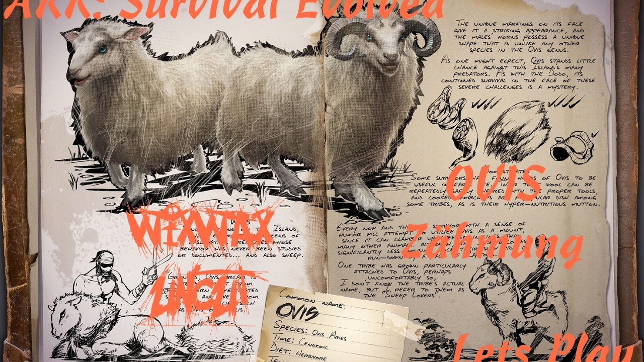 ARK Survival Evolved - Ovis/ Schaf taming / Zähmung [LP / 720p] - YouTube