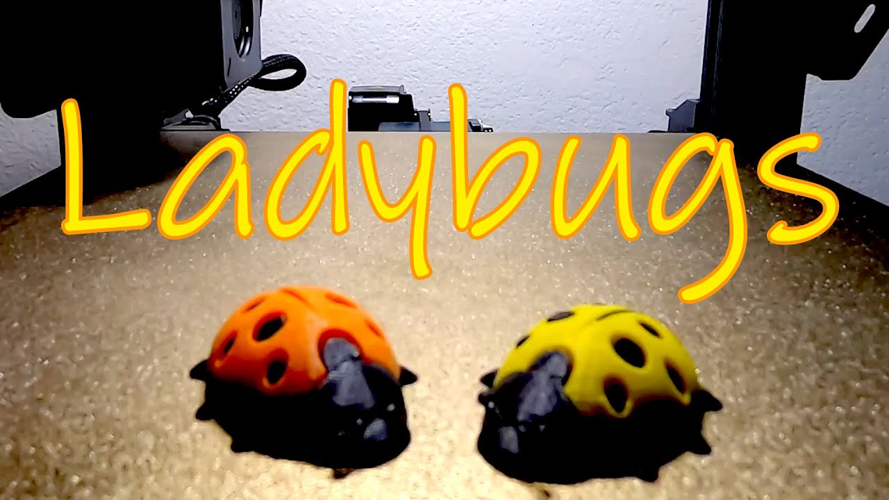 Ladybugs (So Cute!) - 3D Print Timelapse - YouTube