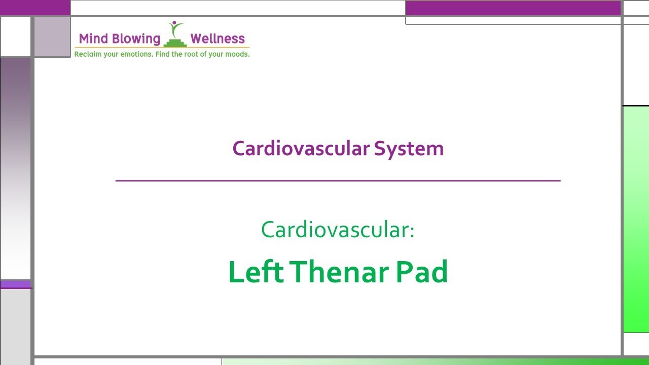 Left Thenar Pad Test-- Cardiovascular - YouTube