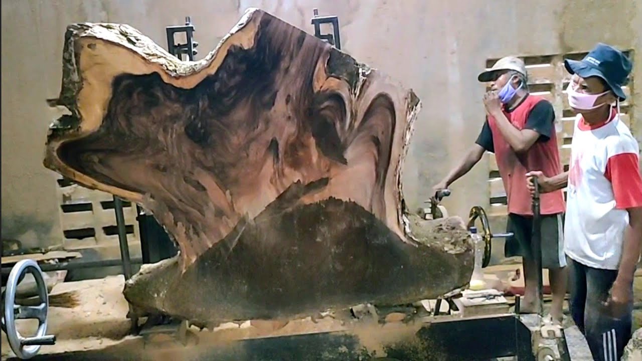 Tak ada kata RUGI beli kayu MONSTER seperti ini..!! di gergaji sawmill ...