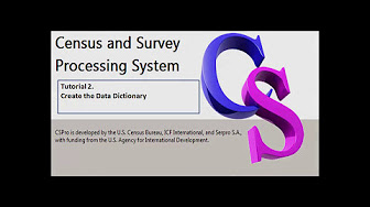 CSPro Tutorials - YouTube